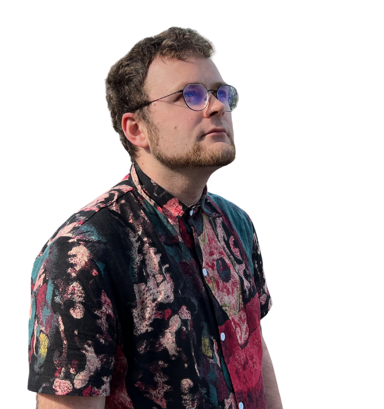 Lewis Brown – Should Have Sent a Poet